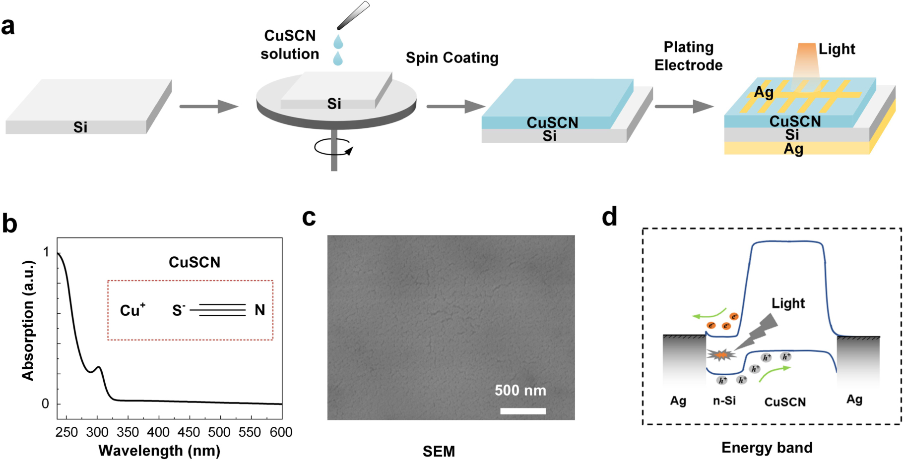 Self-powered and broadband CuSCN/Si heterojunction photodetector for ...