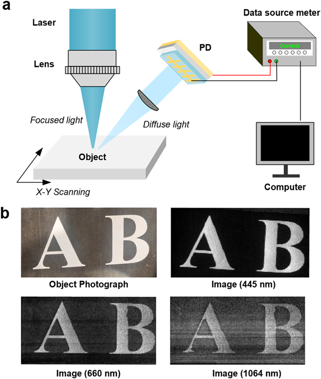 Self-powered and broadband CuSCN/Si heterojunction photodetector for ...