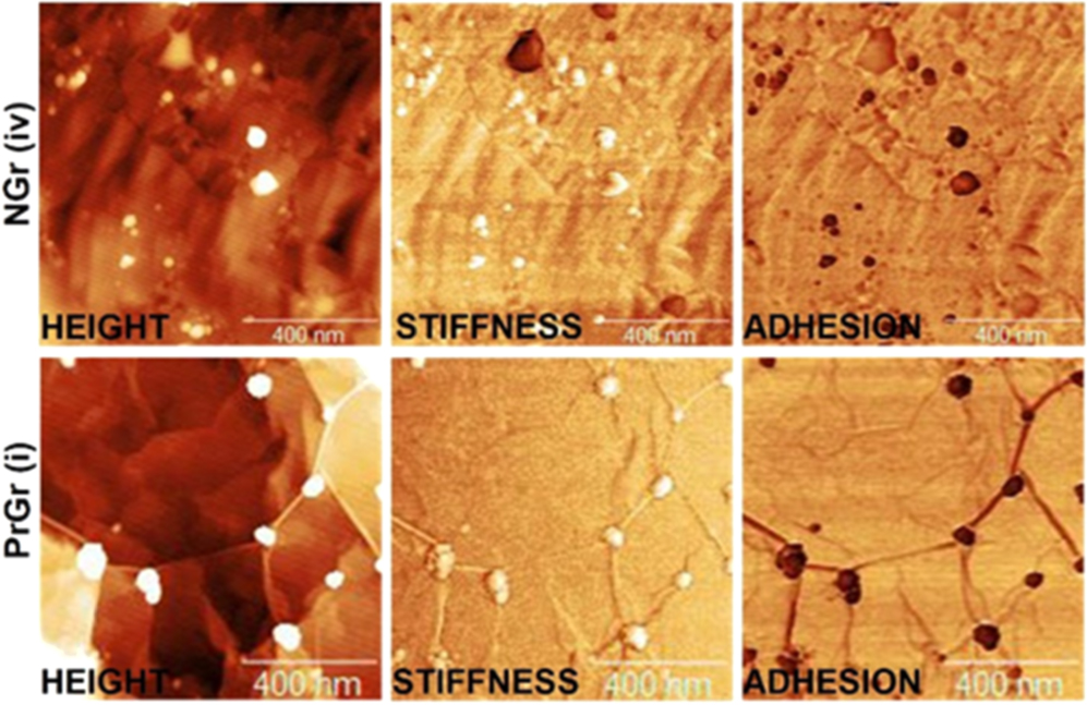 Oxide-mediated nitrogen doping of CVD graphene and their subsequent ...