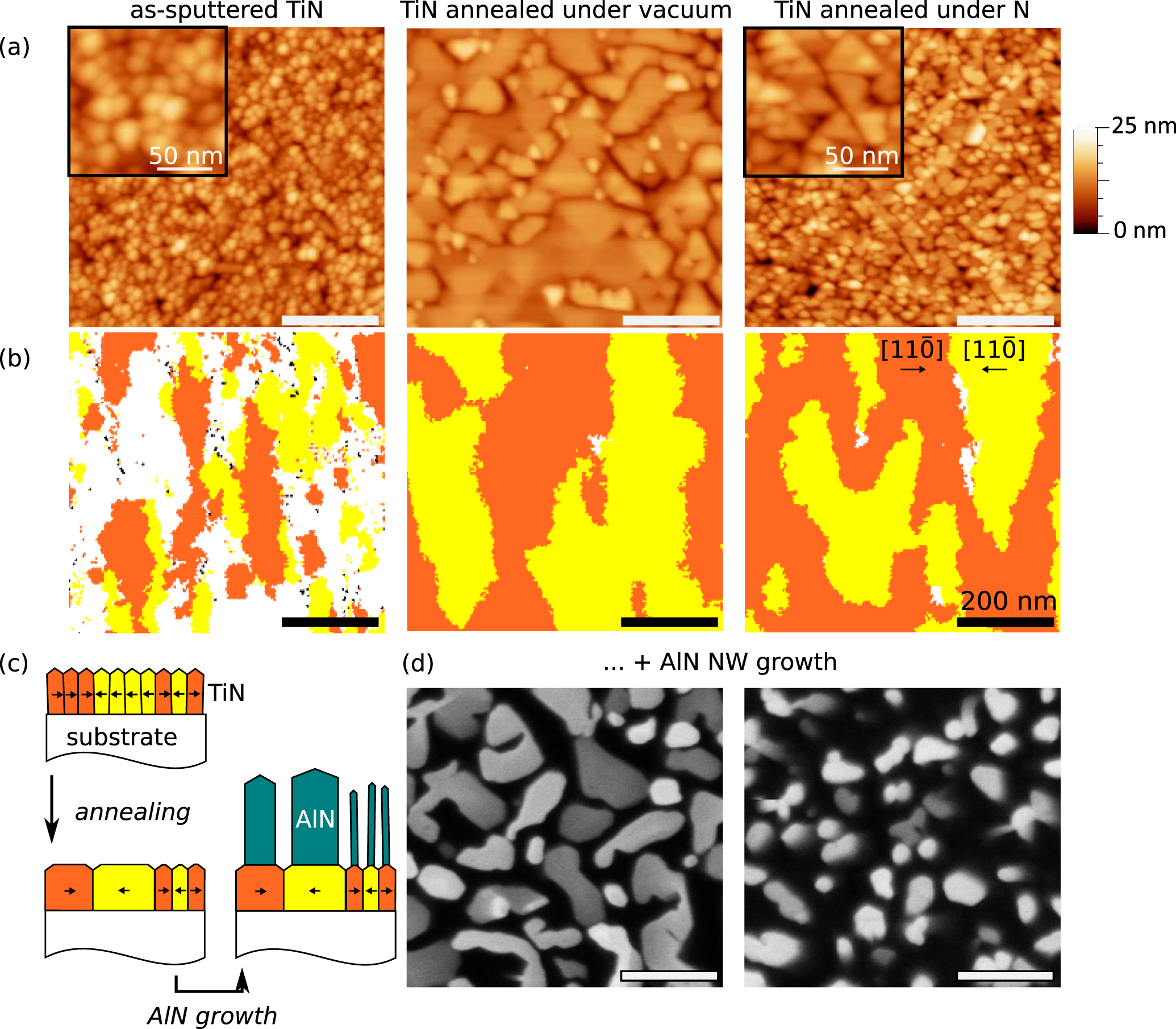 Growth kinetics and substrate stability during high-temperature ...