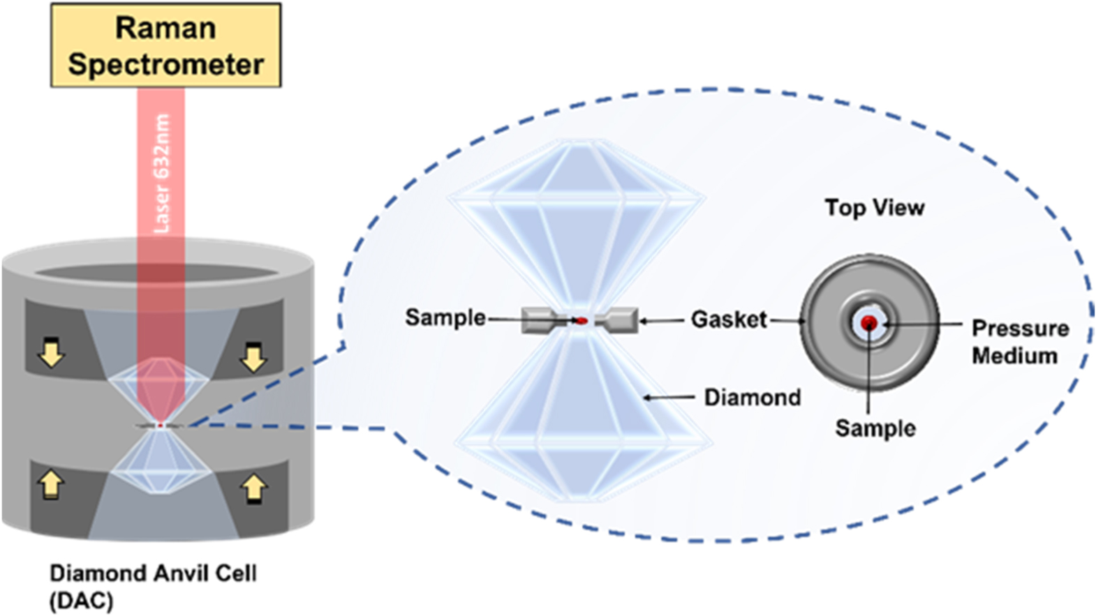 High-pressure response of vibrational properties of b-As x P1–x : in ...