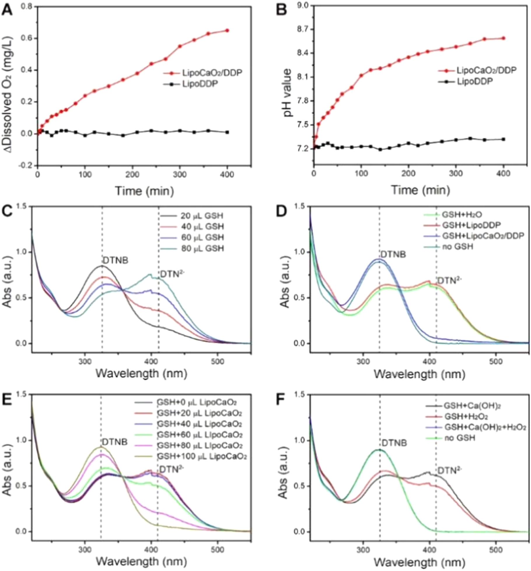 CaO2 nanomedicines: a review of their emerging roles in cancer therapy ...