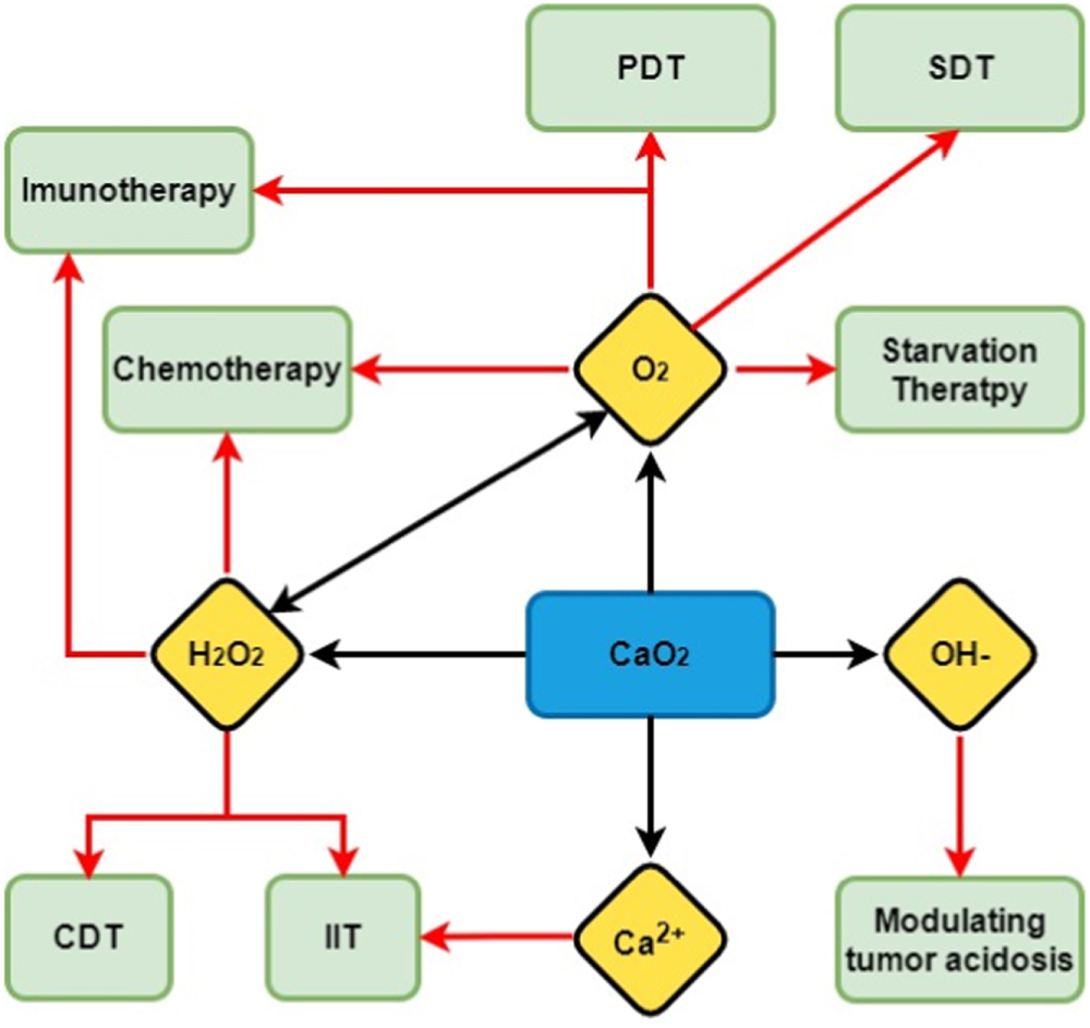 CaO2 nanomedicines: a review of their emerging roles in cancer therapy ...