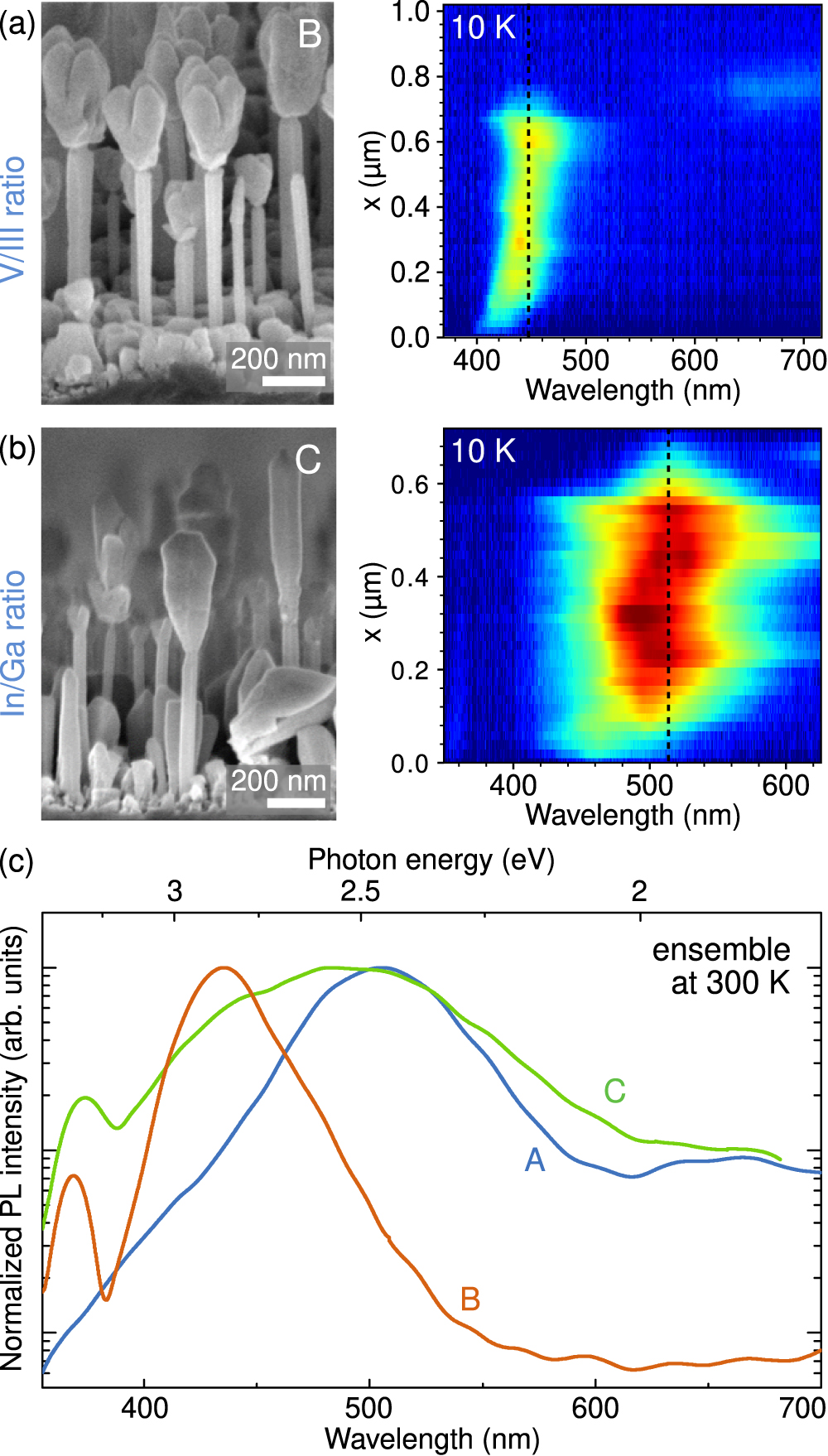 Growth mechanisms in molecular beam epitaxy for GaN-(In,Ga)N core–shell ...
