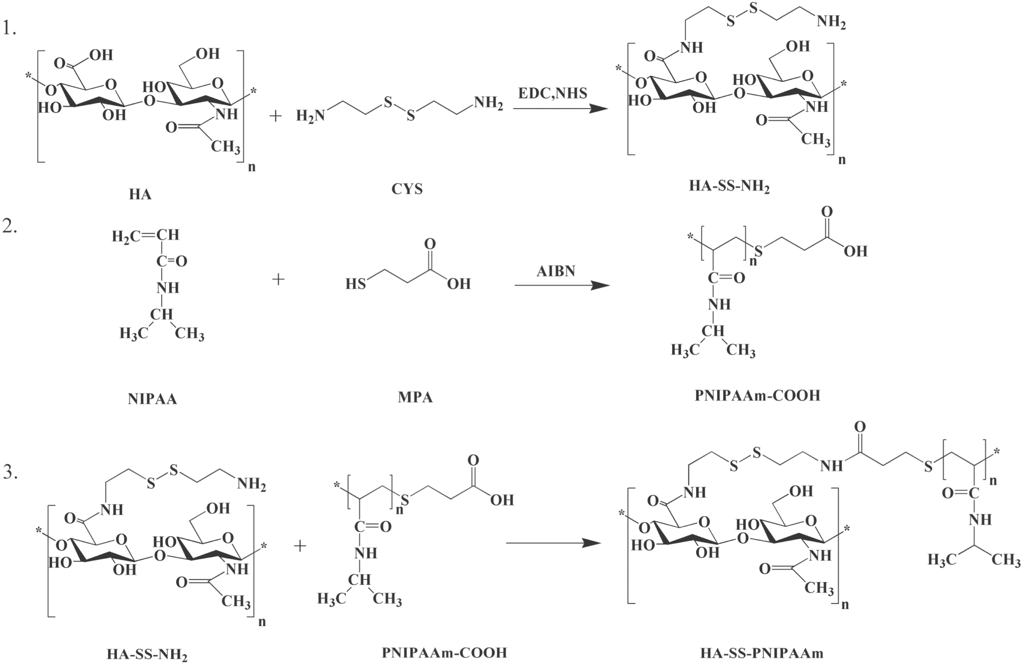Preparation of multifunctional mesoporous SiO2 nanoparticles and anti ...