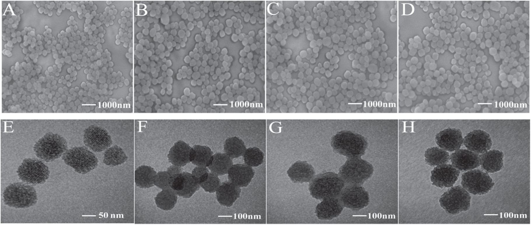 Preparation of multifunctional mesoporous SiO2 nanoparticles and anti ...