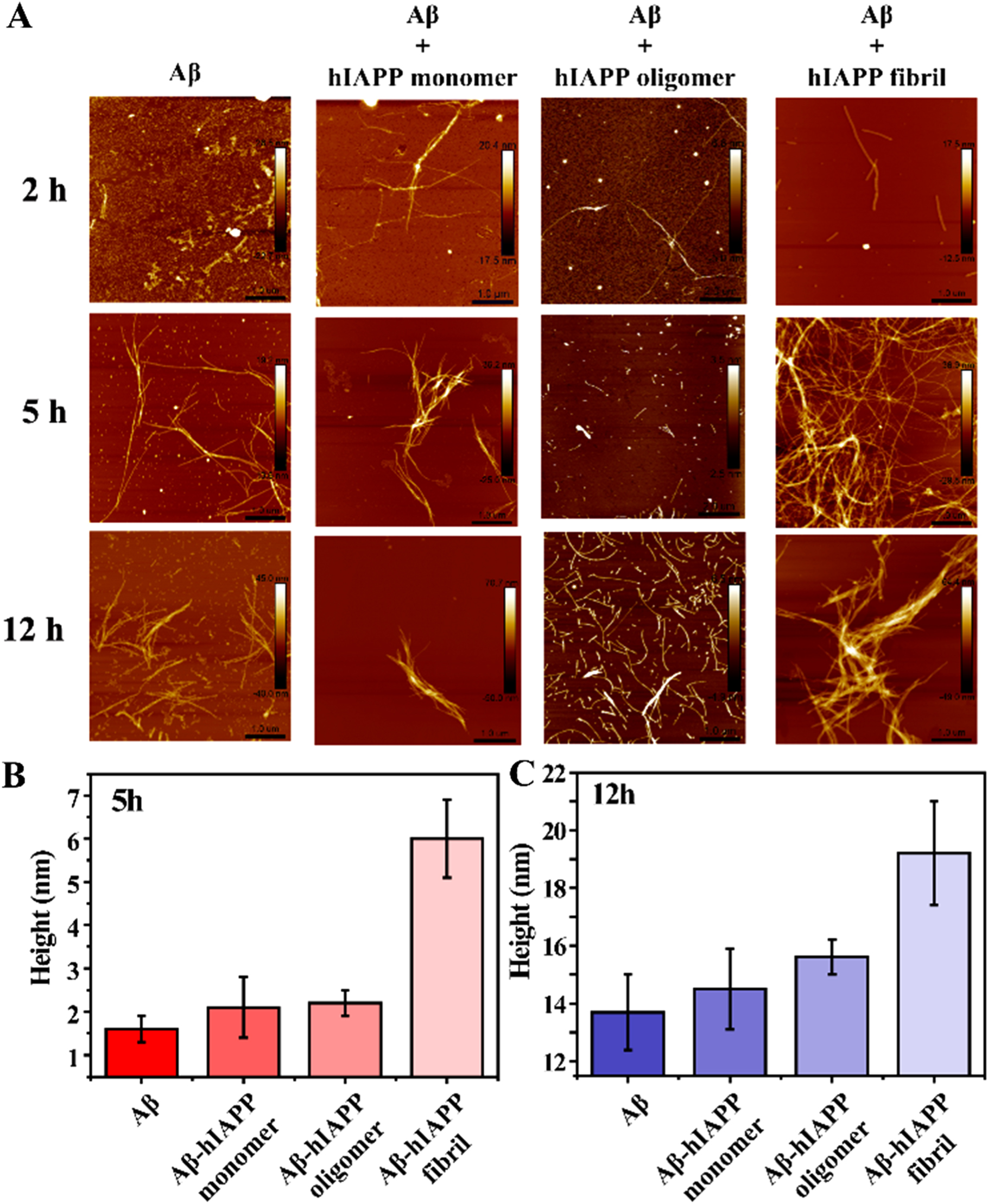 Identification of hybrid amyloid strains assembled from amyloid-β and ...