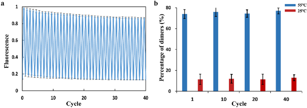 Cyclic transitions of DNA origami dimers driven by thermal cycling ...