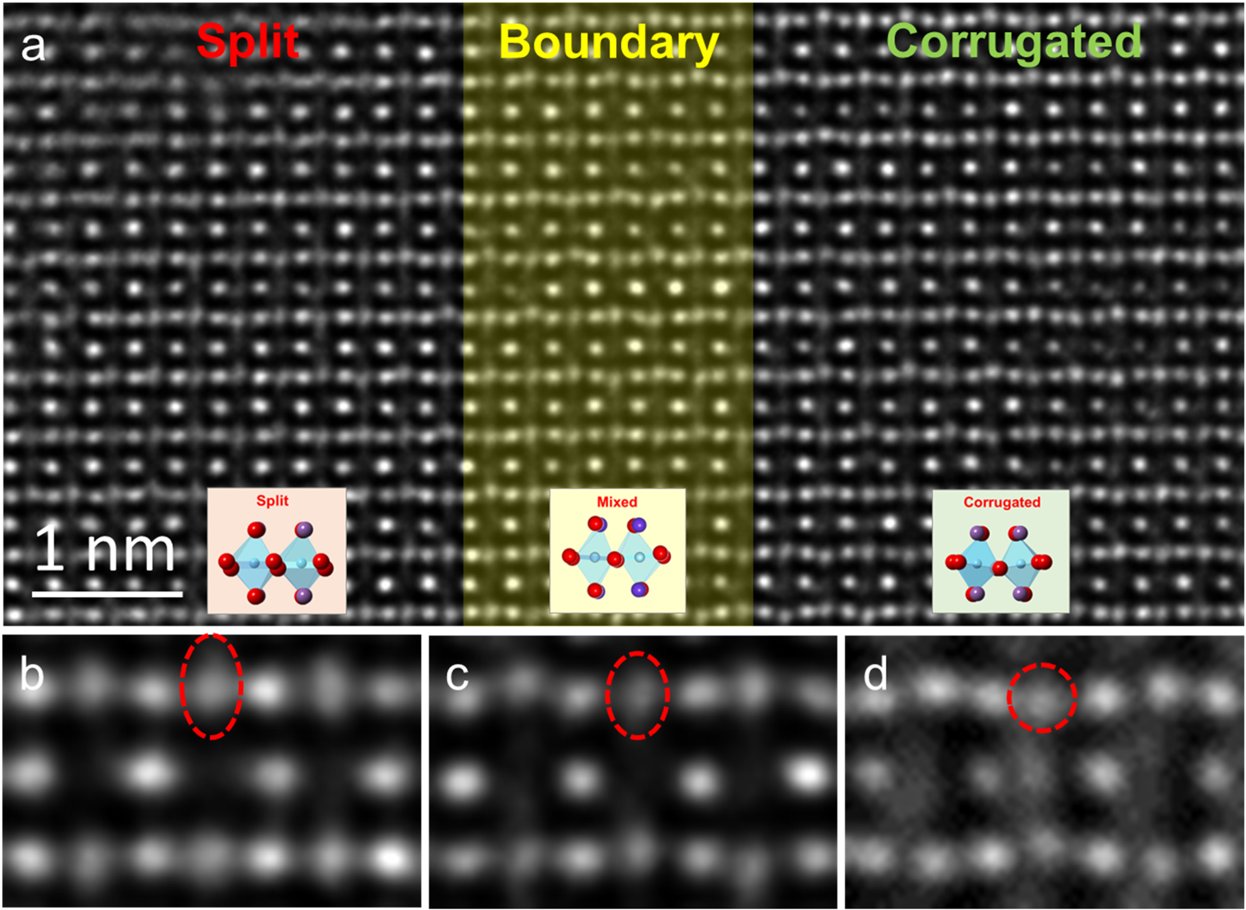 Hierarchical domain structures associated with oxygen octahedra tilting ...