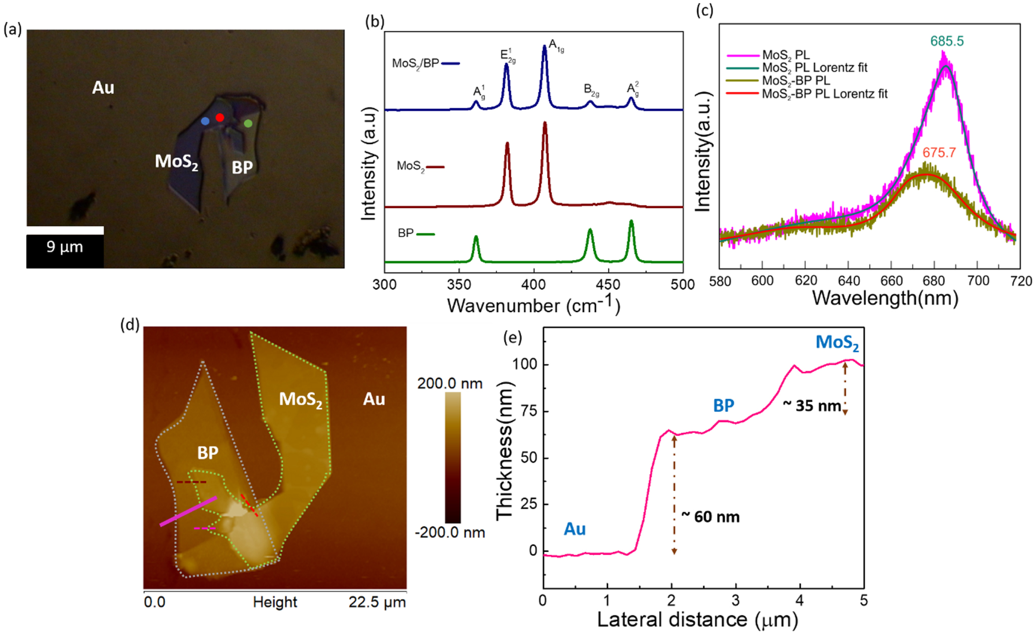 Nanoscale probing of surface potential landscape at MoS2/BP van der ...