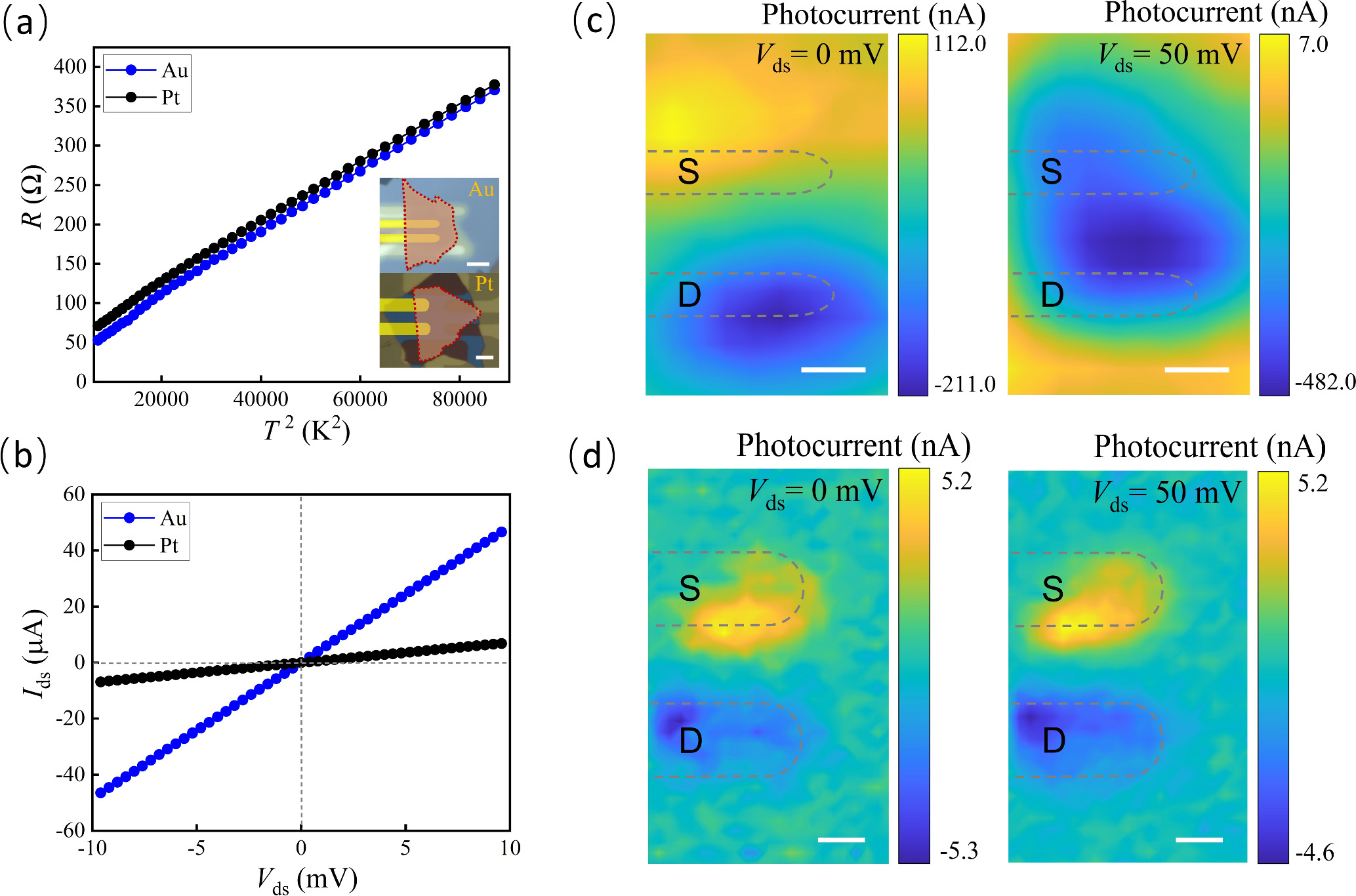 Probing the photocurrent in two-dimensional titanium disulfide - IOPscience
