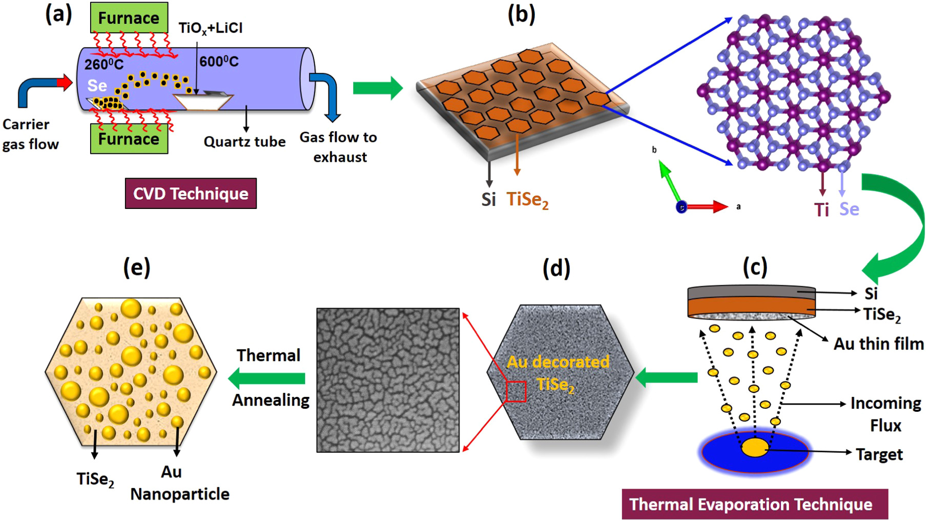 Plasmon mediated SERS and photocatalysis enhancement in Au nanoparticle ...