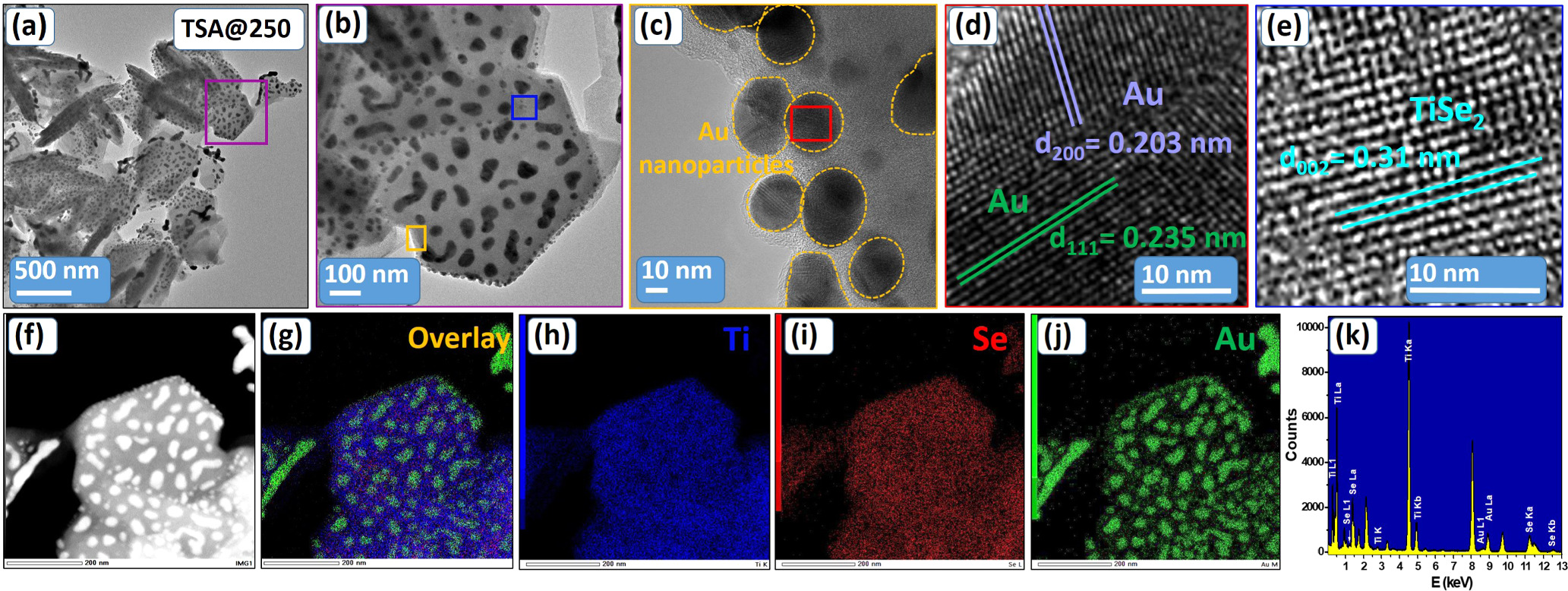 Plasmon mediated SERS and photocatalysis enhancement in Au nanoparticle ...