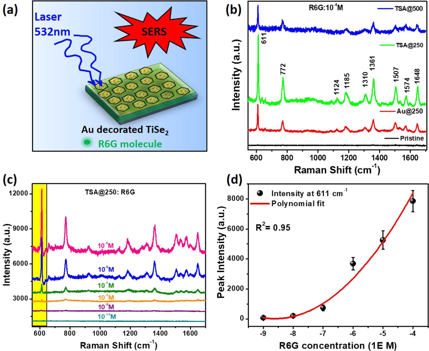 Plasmon mediated SERS and photocatalysis enhancement in Au nanoparticle ...