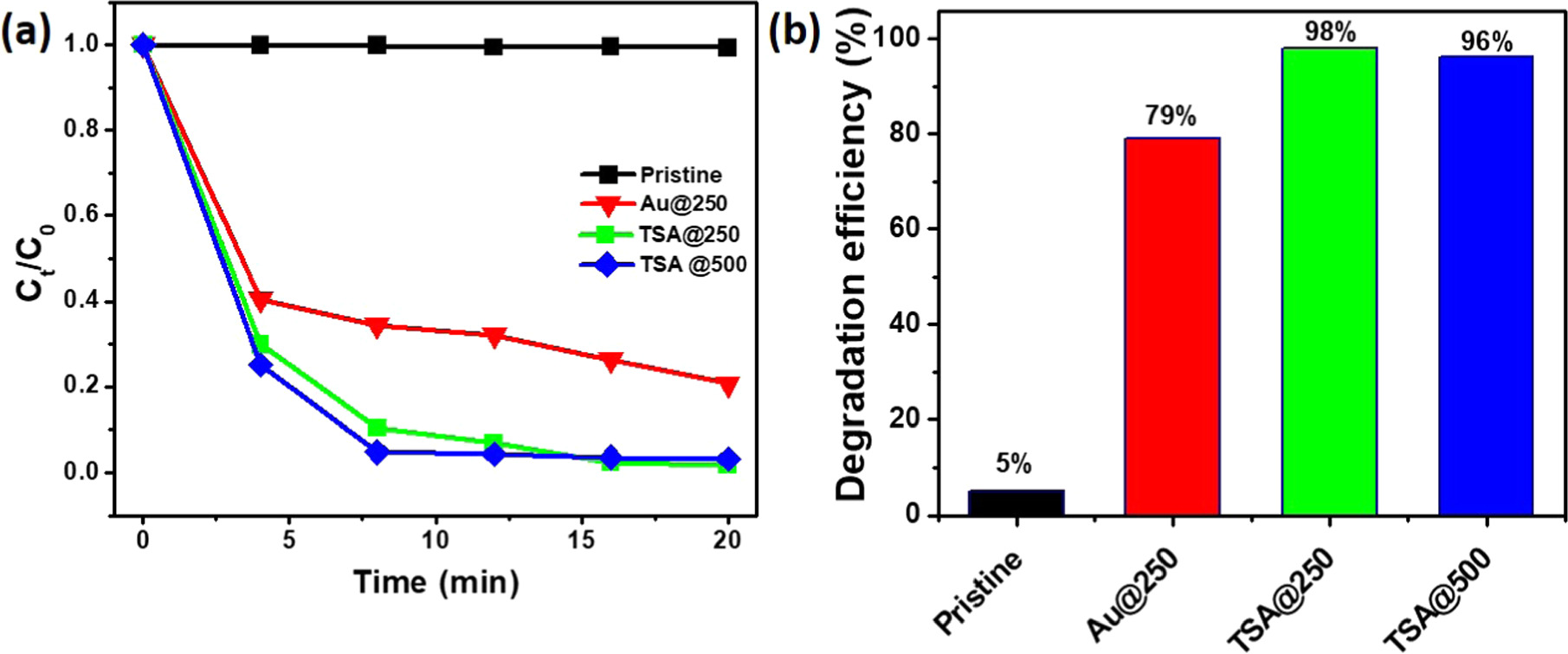 Plasmon mediated SERS and photocatalysis enhancement in Au nanoparticle ...