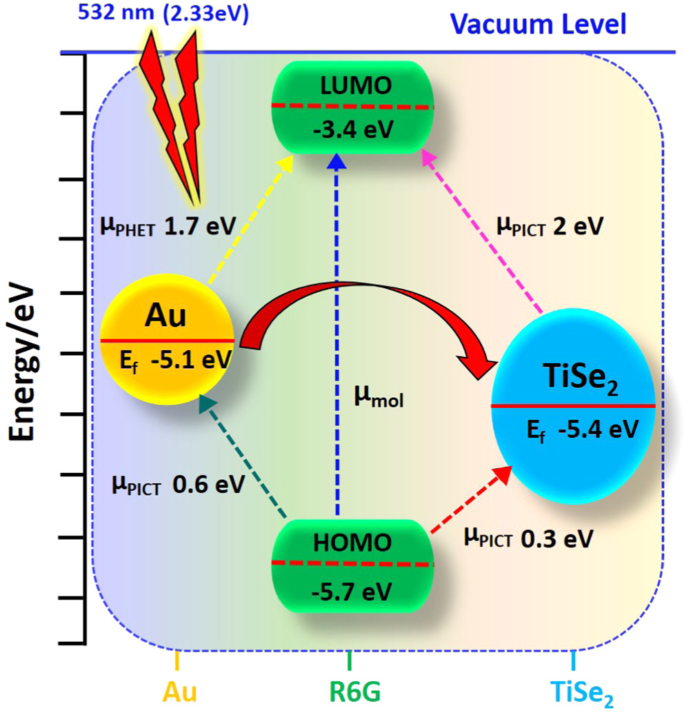 Plasmon mediated SERS and photocatalysis enhancement in Au nanoparticle ...