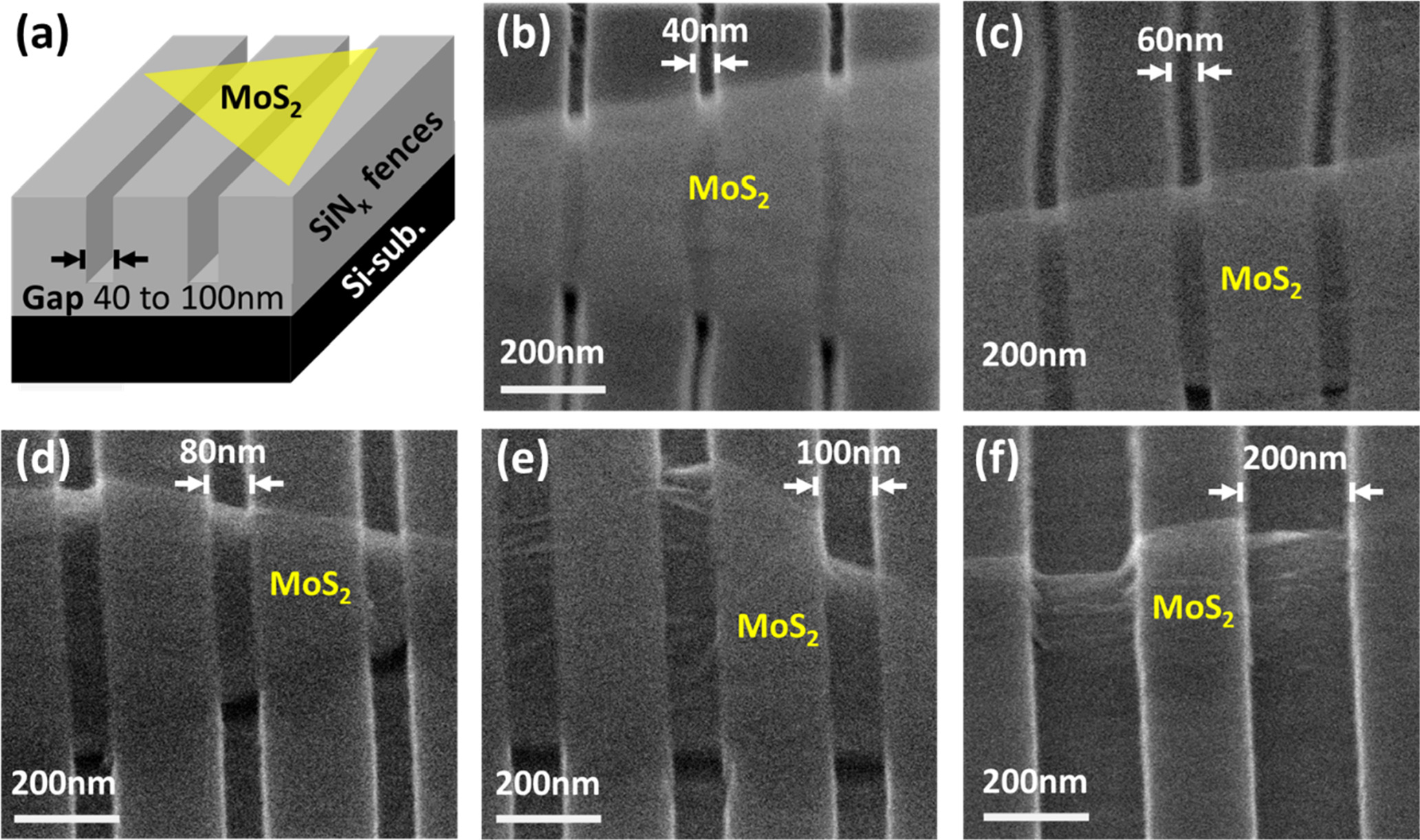 High-performance monolayer MoS2 nanosheet GAA transistor - IOPscience