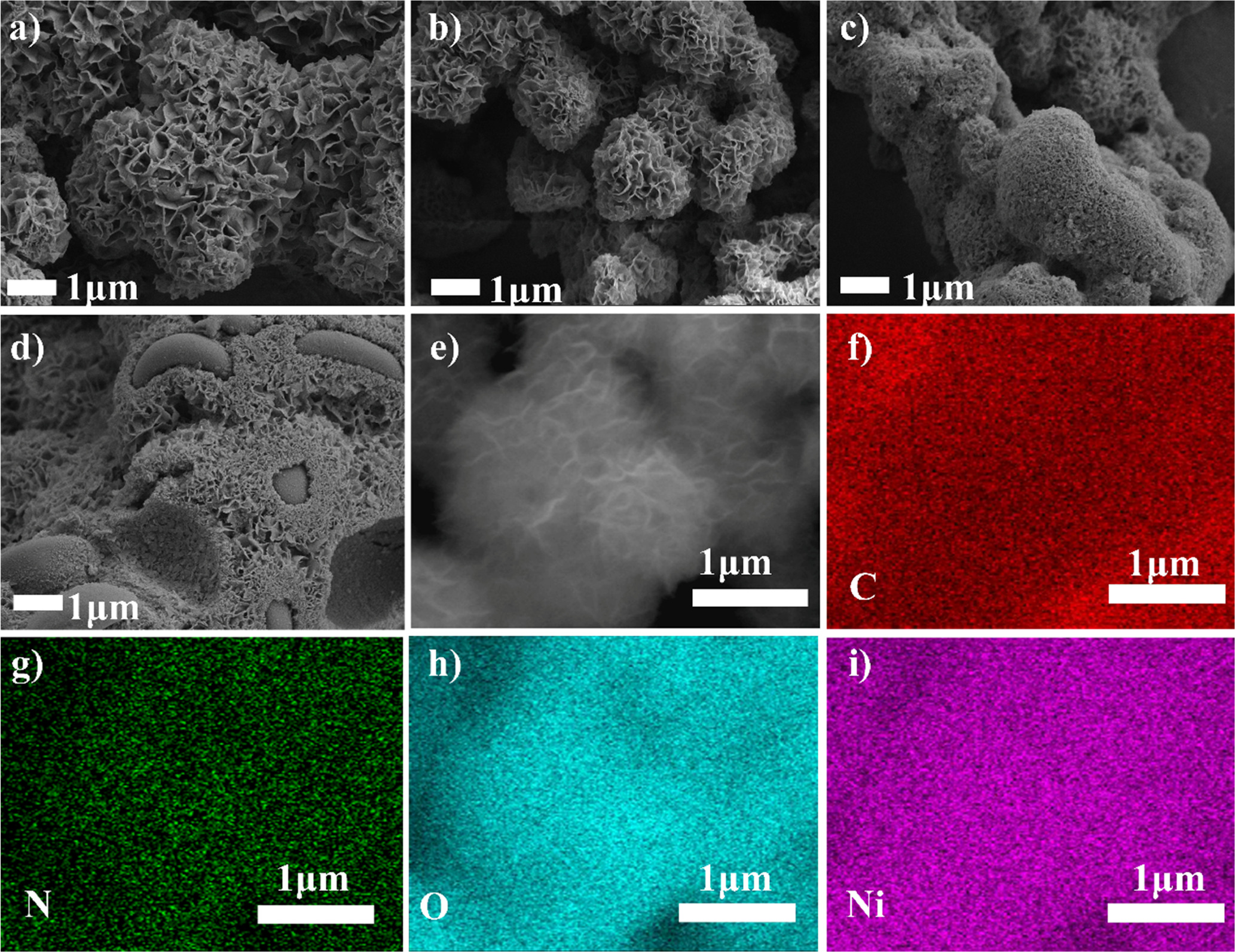 Flower-shaped Ni(OH)2 decorated with biomass-derived carbon TPB-1 for ...
