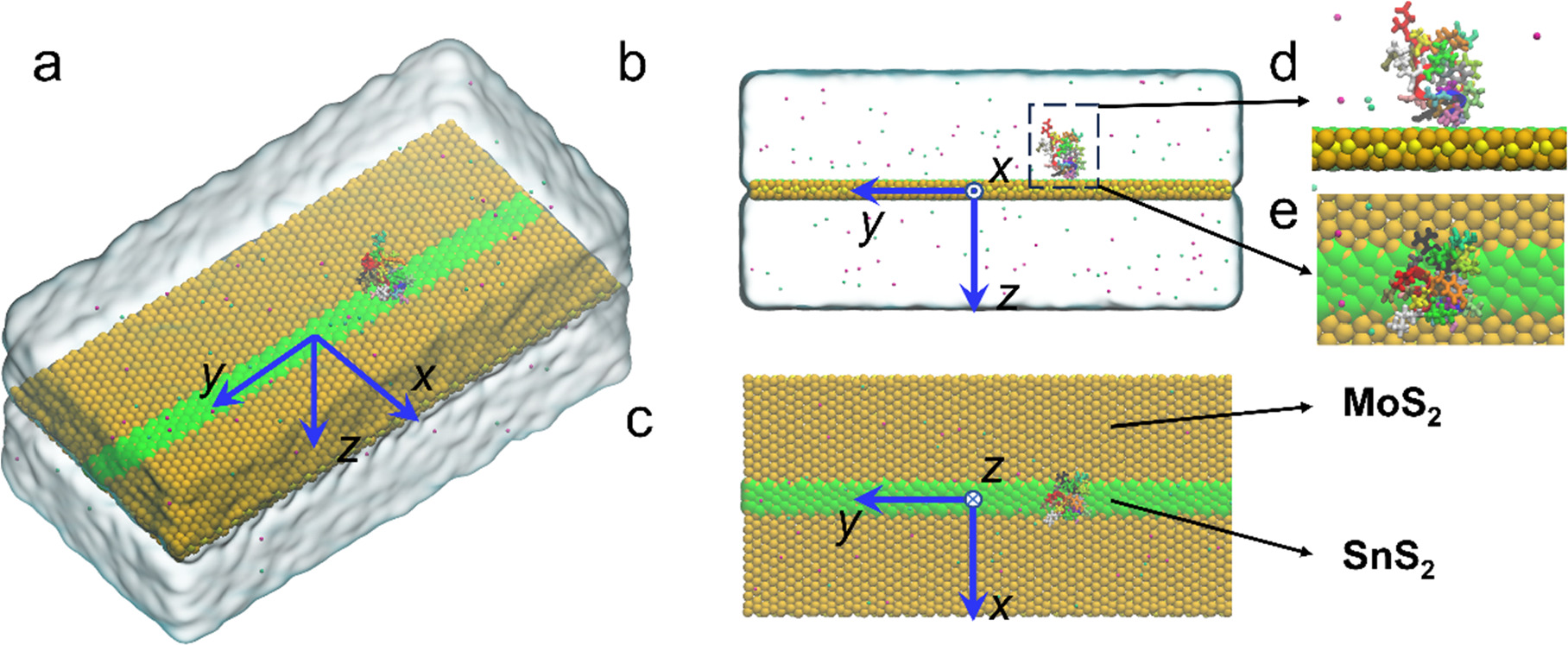 Unfolding of protein using MoS2/SnS2 heterostructure for nanopore-based sequencing - IOPscience