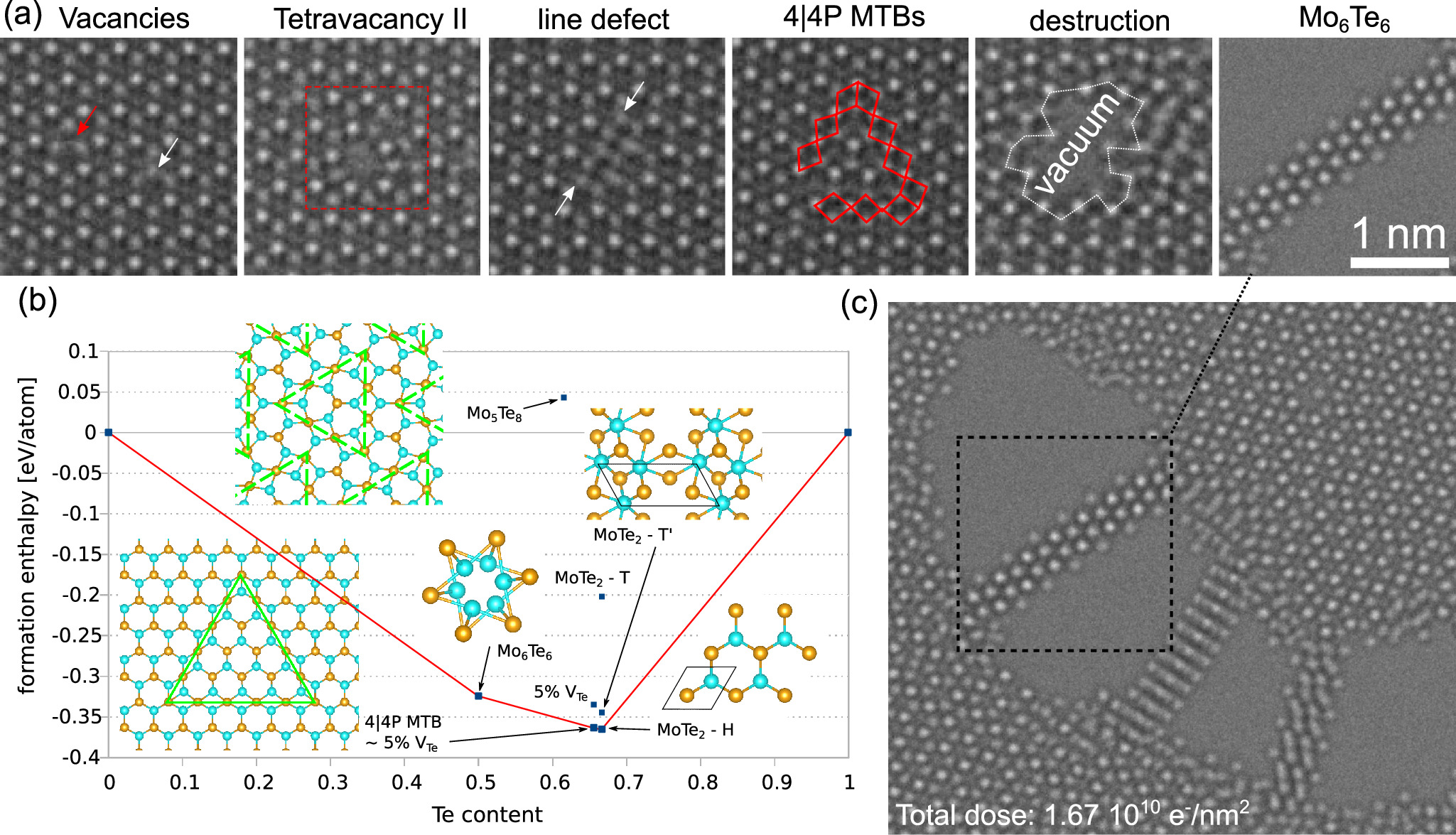Phase transformations in single-layer MoTe2 stimulated by electron ...