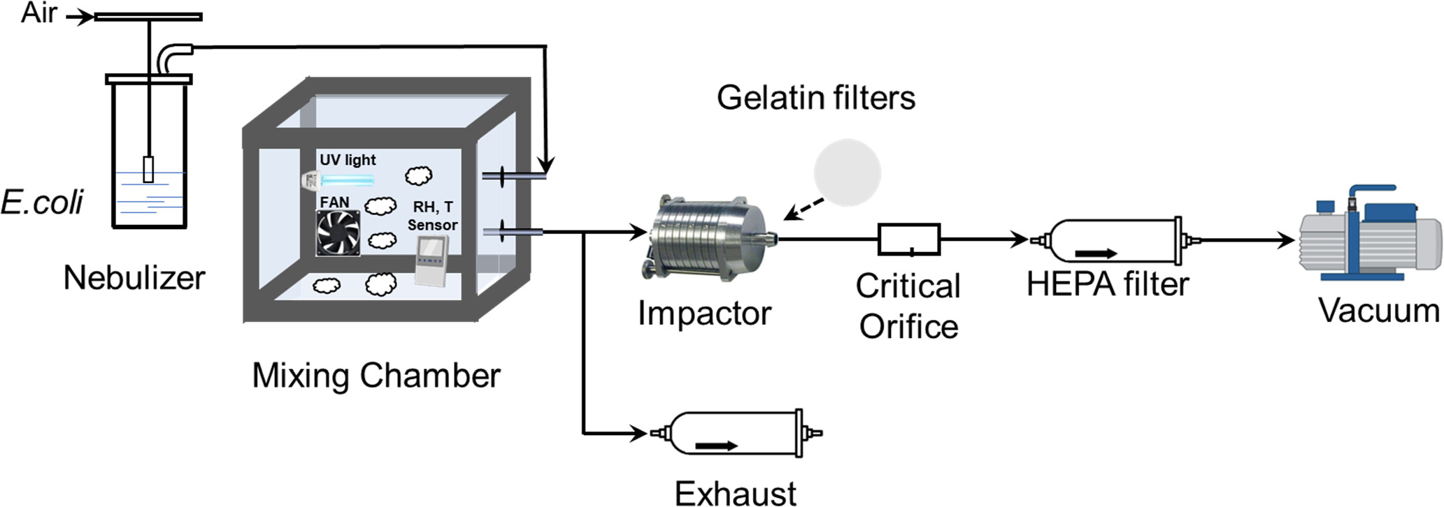 Bioaerosol size as a potential determinant of airborne E. coli ...