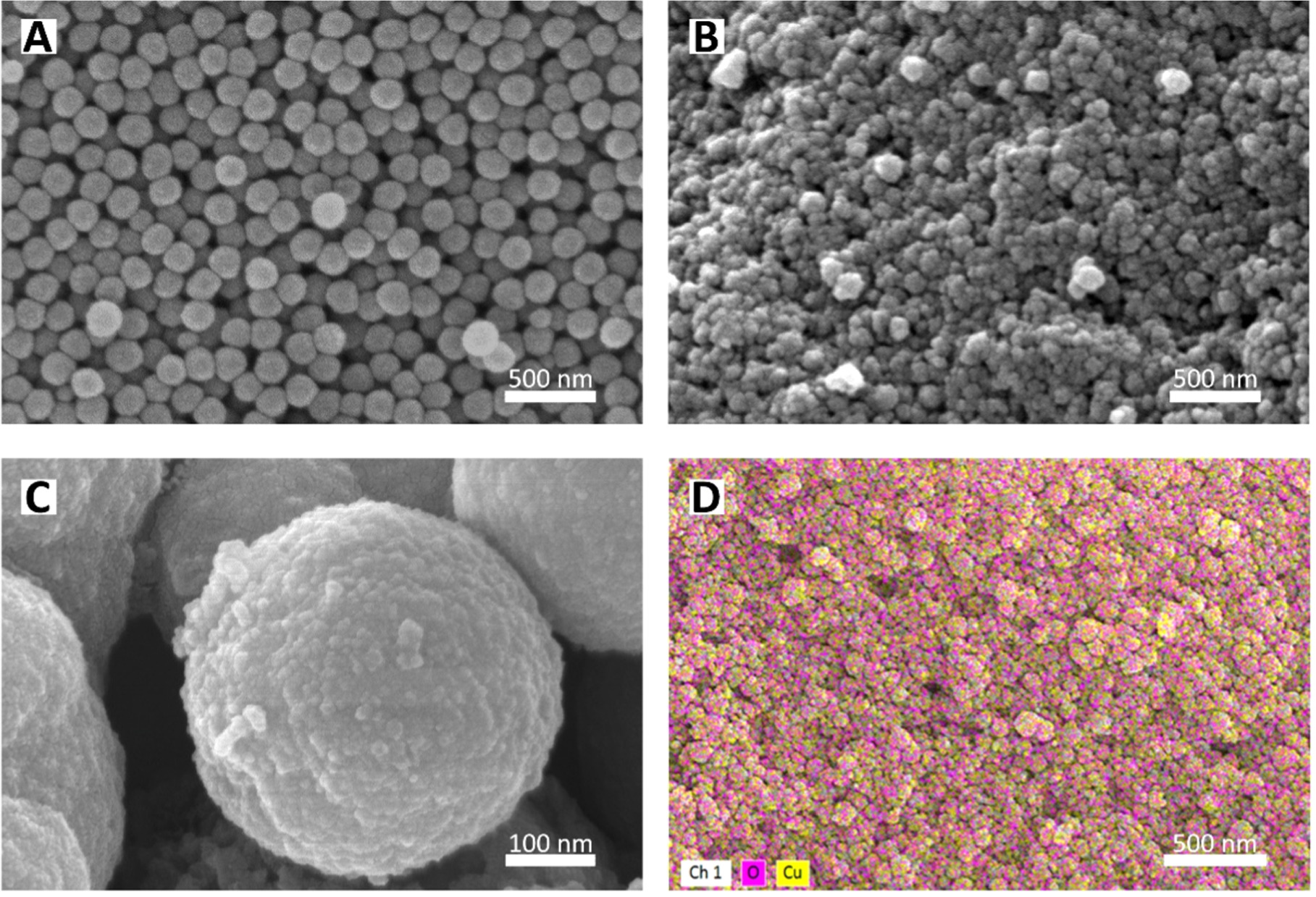 Synergistic antibacterial attributes of copper-doped polydopamine ...