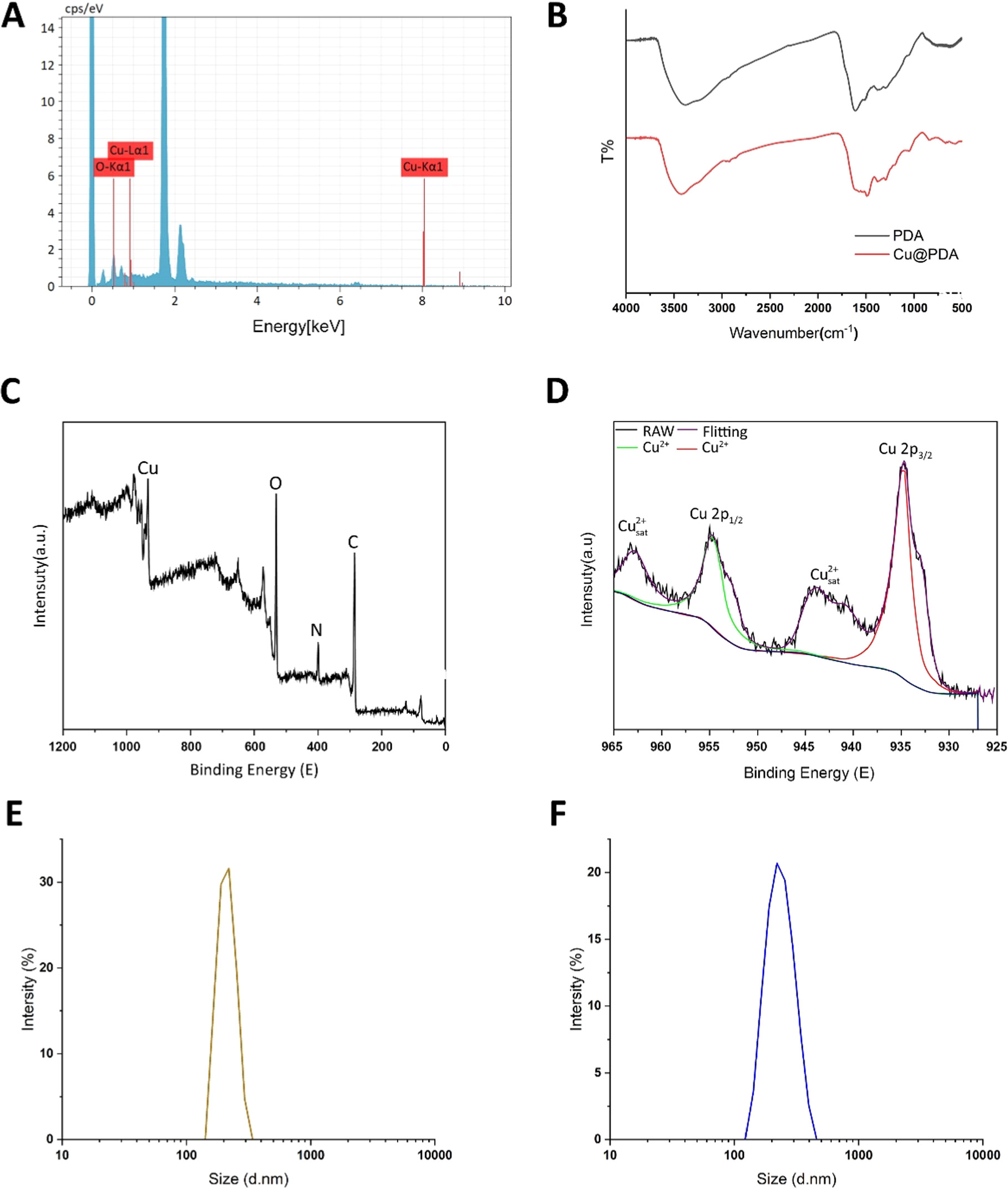 Synergistic antibacterial attributes of copper-doped polydopamine ...