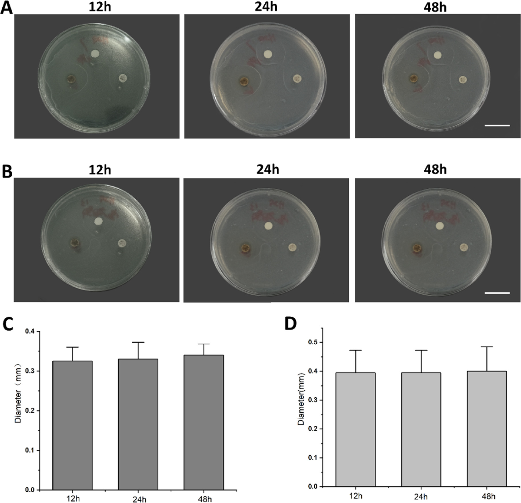 Synergistic antibacterial attributes of copper-doped polydopamine ...