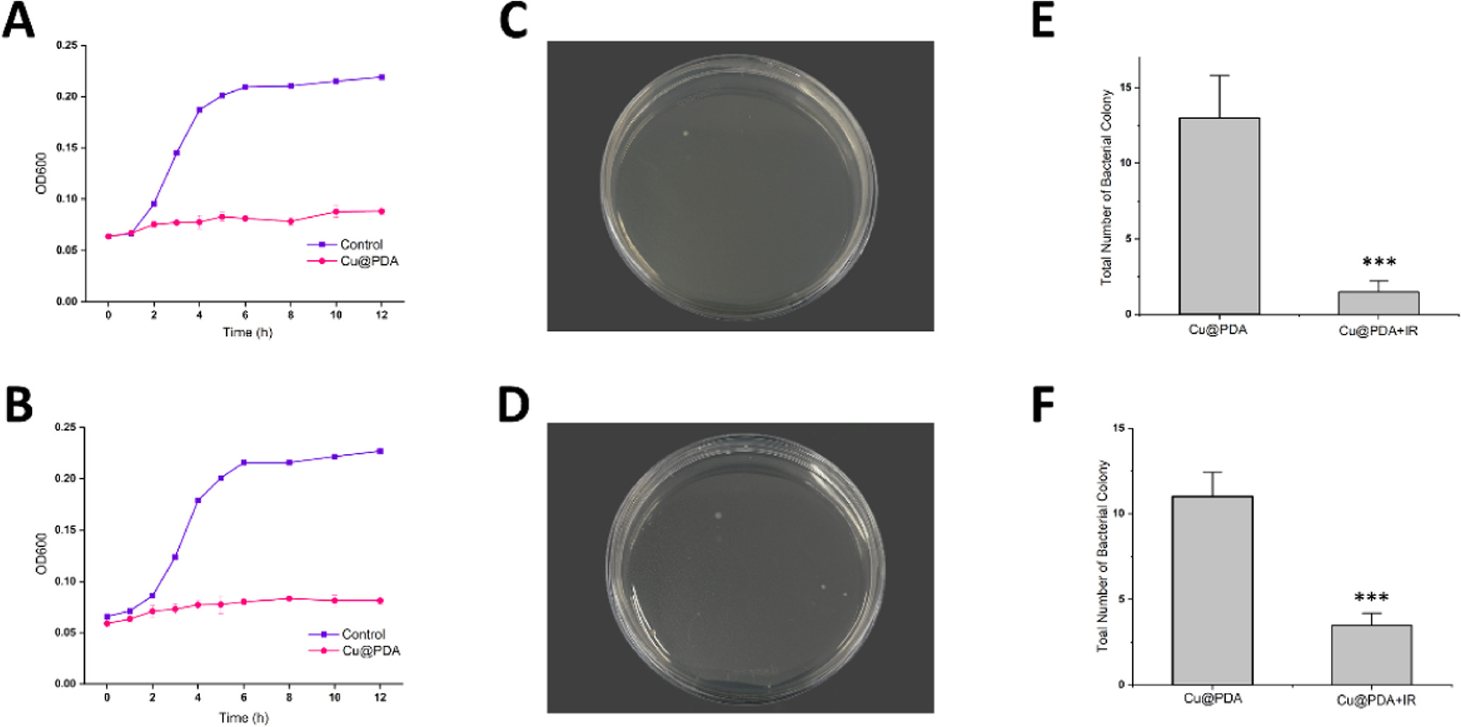 Synergistic antibacterial attributes of copper-doped polydopamine ...