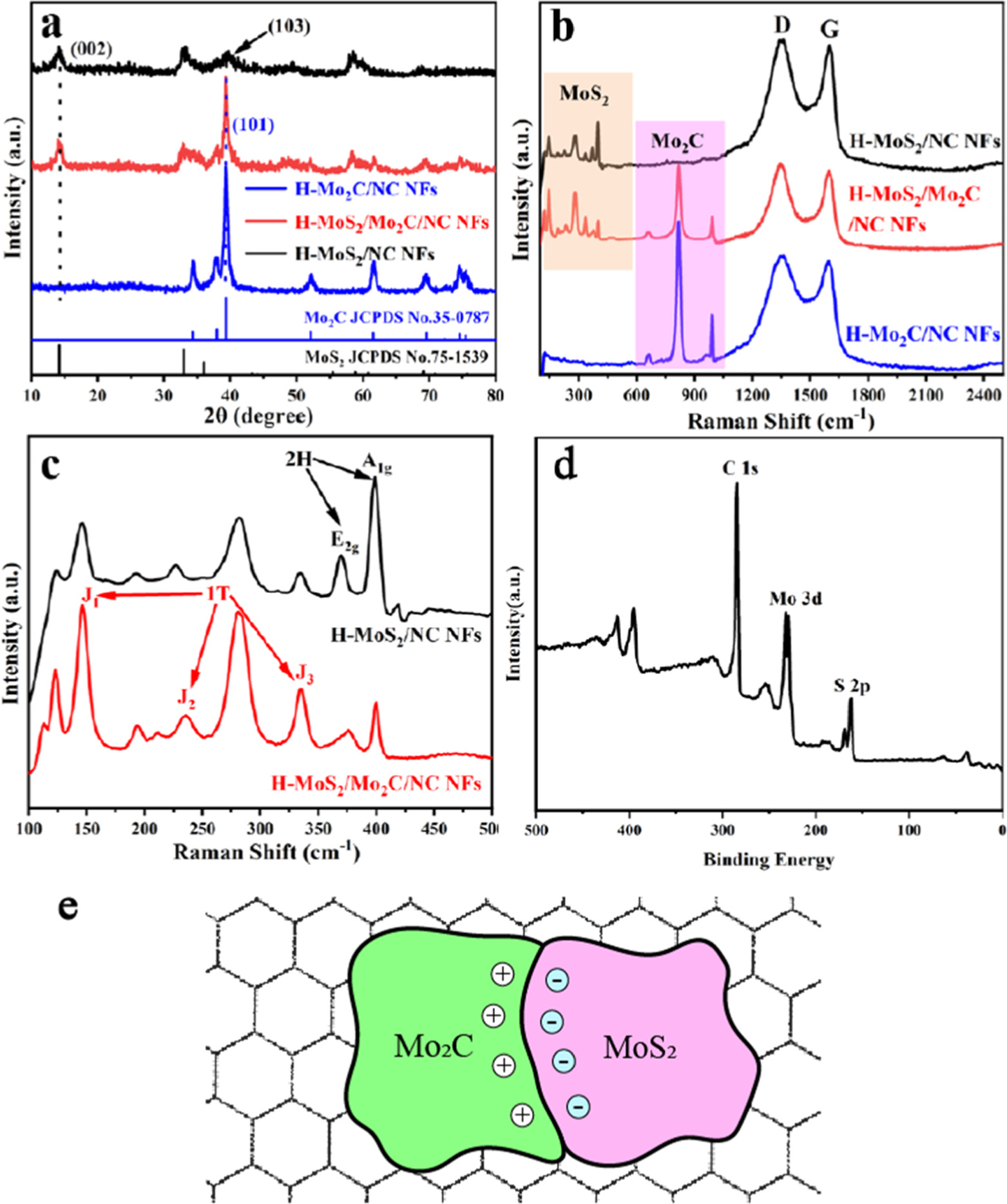 Rational design of hollow flower-like MoS2/Mo2C heterostructures in N ...