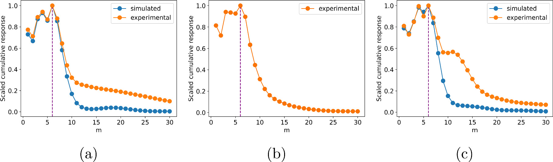 Shapelet-based orientation and defect identification method for nanostructured surface imaging ...