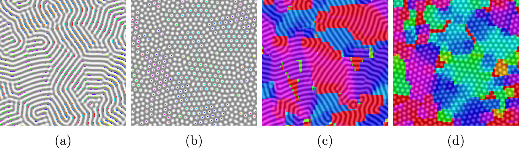 Shapelet-based orientation and defect identification method for nanostructured surface imaging ...