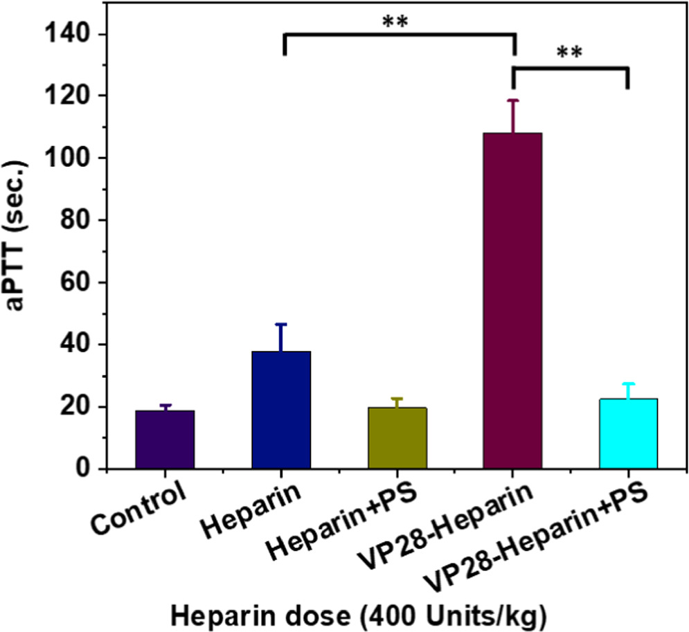 Immune-stealth VP28-conjugated heparin nanoparticles for enhanced and ...