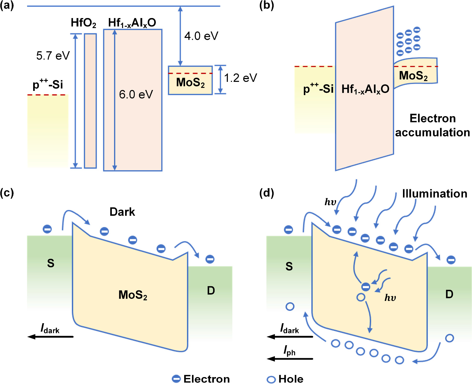 High-performance MoS2 phototransistors with Hf1–x Al x O back-gate ...