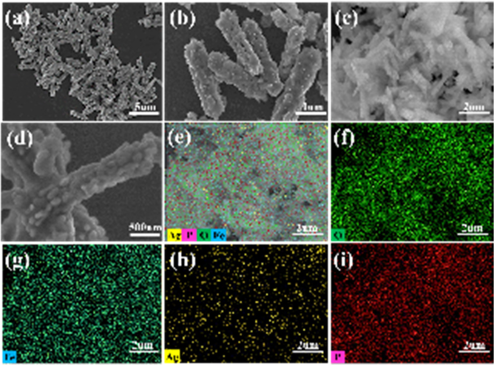 Porous rod-shaped Fe2O3/Ag/BP: a novel substrate for highly sensitive ...