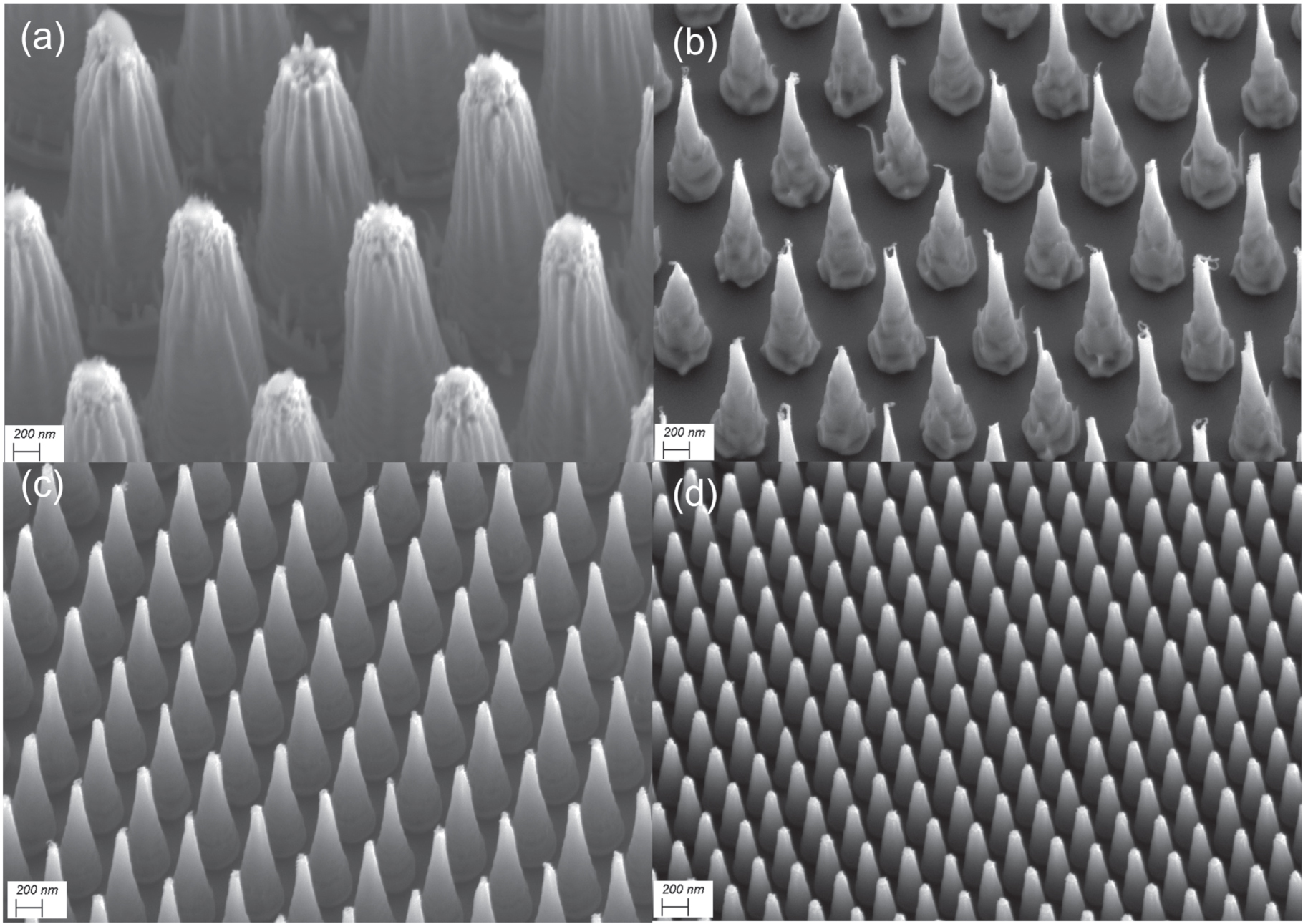 Black silicon spacing effect on bactericidal efficacy against gram ...