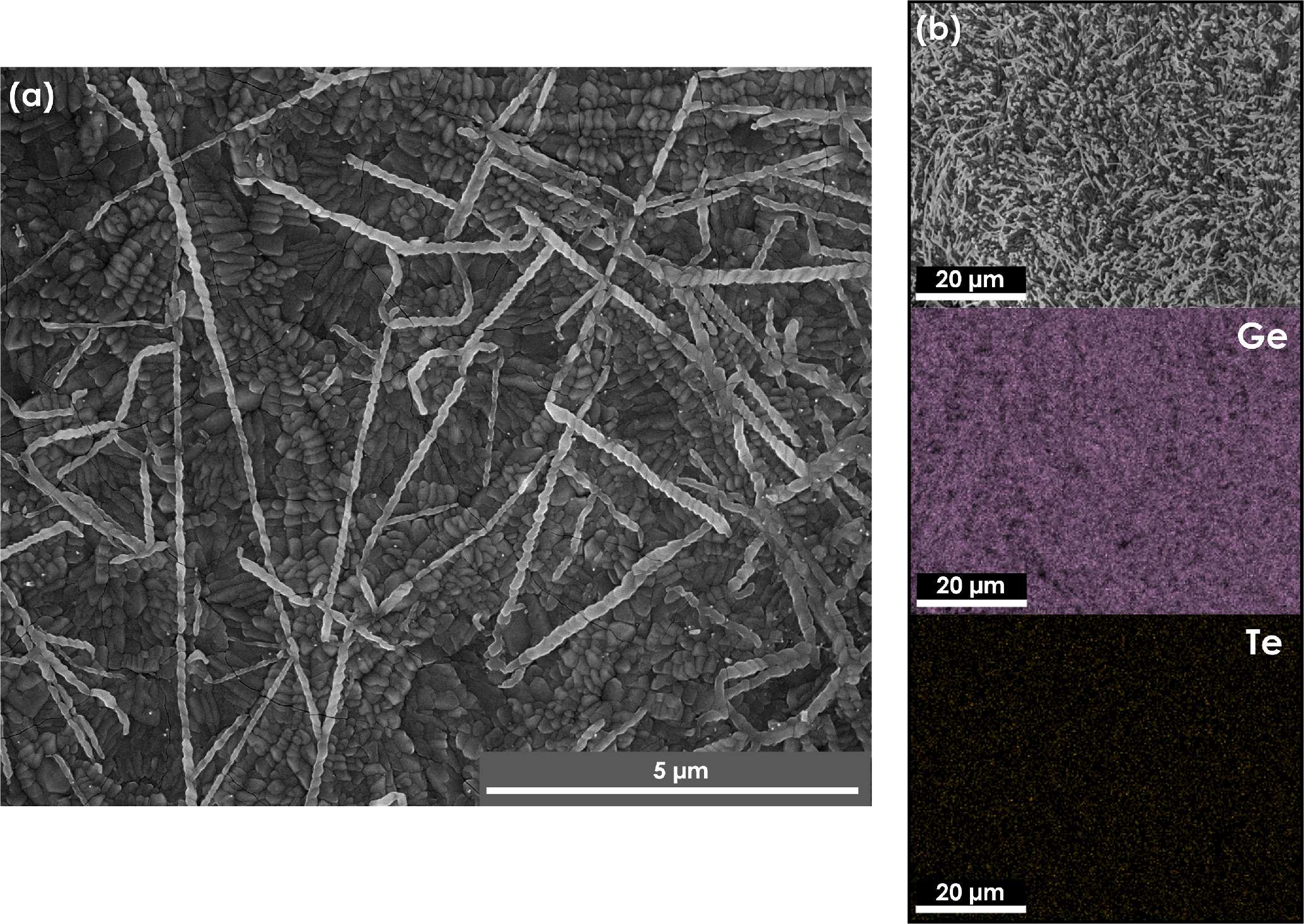 Growth and characterization of germanium telluride nanowires via vapor ...