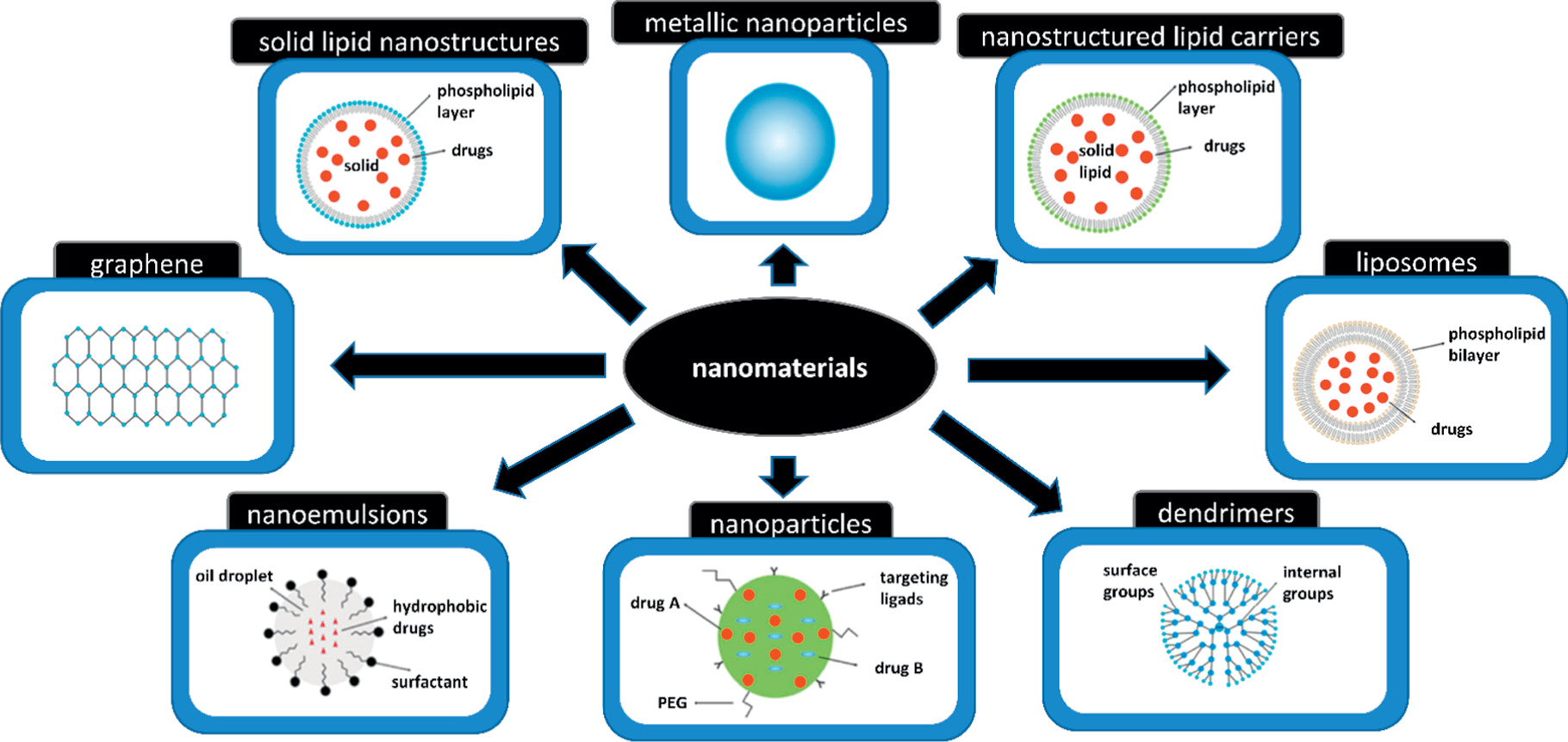 Fe3O4 SPIONs in cancer theranostics—structure versus interactions with ...