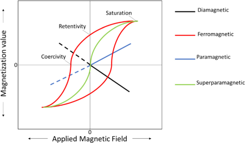 Fe3O4 SPIONs in cancer theranostics—structure versus interactions with ...