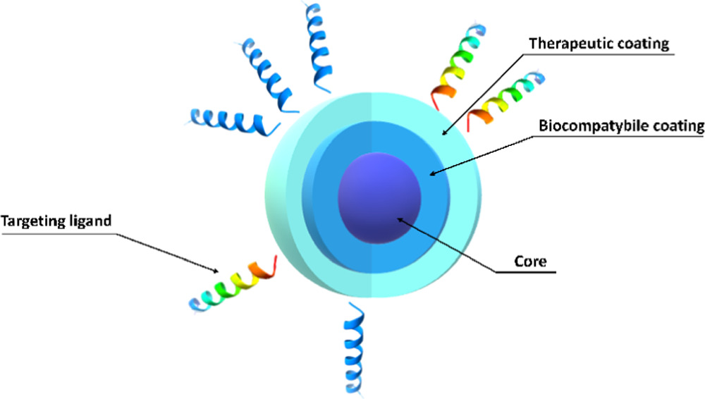 Fe3O4 SPIONs in cancer theranostics—structure versus interactions with ...
