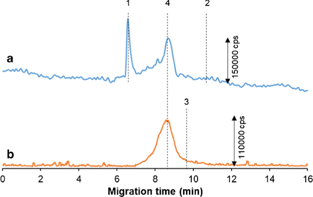 Fe3O4 SPIONs in cancer theranostics—structure versus interactions with ...