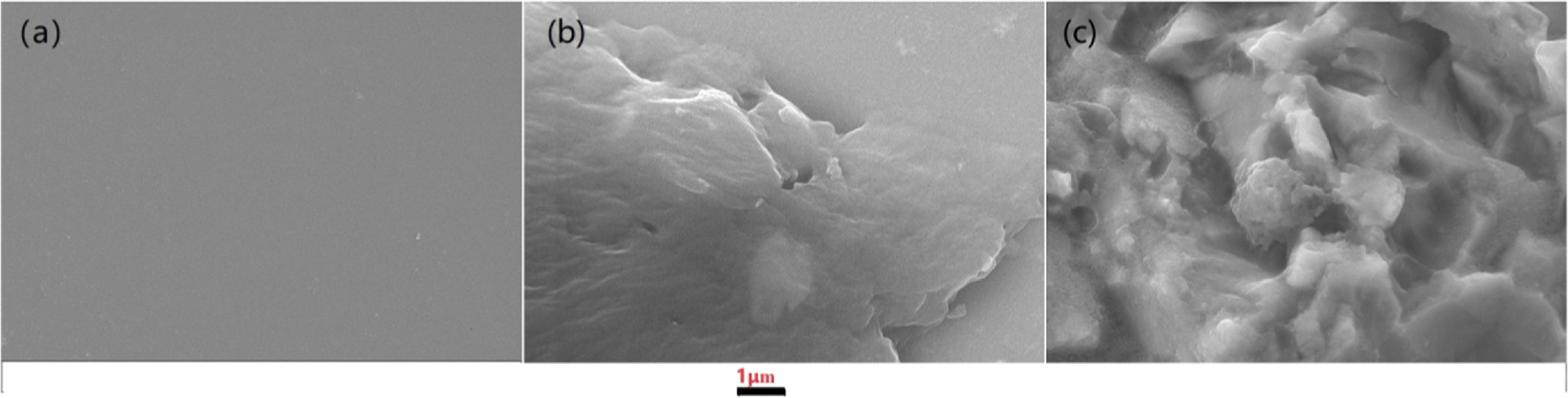 Sm, Nd doped BiFeO3 epitaxial film for photodetector with extremely ...
