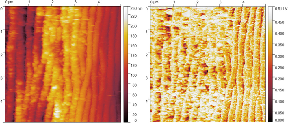 Preparation of multilayer samples for scanning thermal microscopy ...