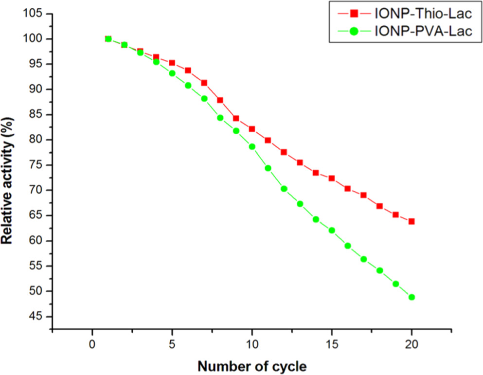 Direct binding and characterization of laccase onto iron oxide ...