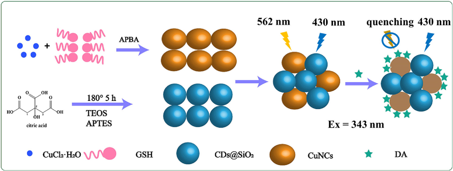 Ratiometric fluorescence detection of dopamine based on copper ...