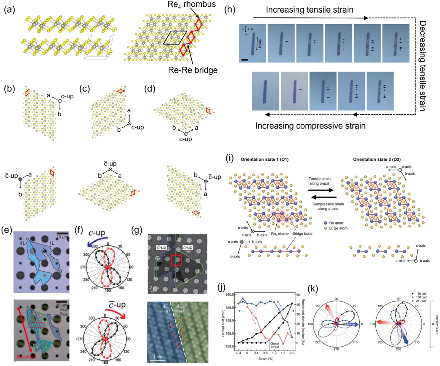 In-plane anisotropic two-dimensional materials for twistronics - IOPscience