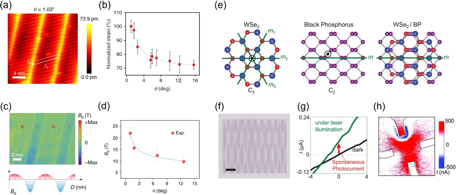 In-plane anisotropic two-dimensional materials for twistronics - IOPscience