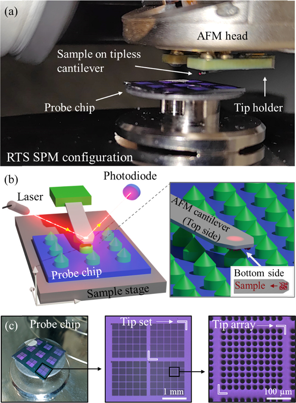 Probe chip nanofabrication enabled reverse tip sample scanning probe ...