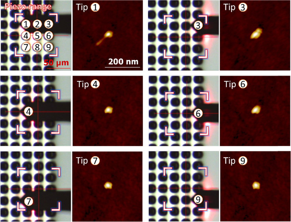 Probe chip nanofabrication enabled reverse tip sample scanning probe ...