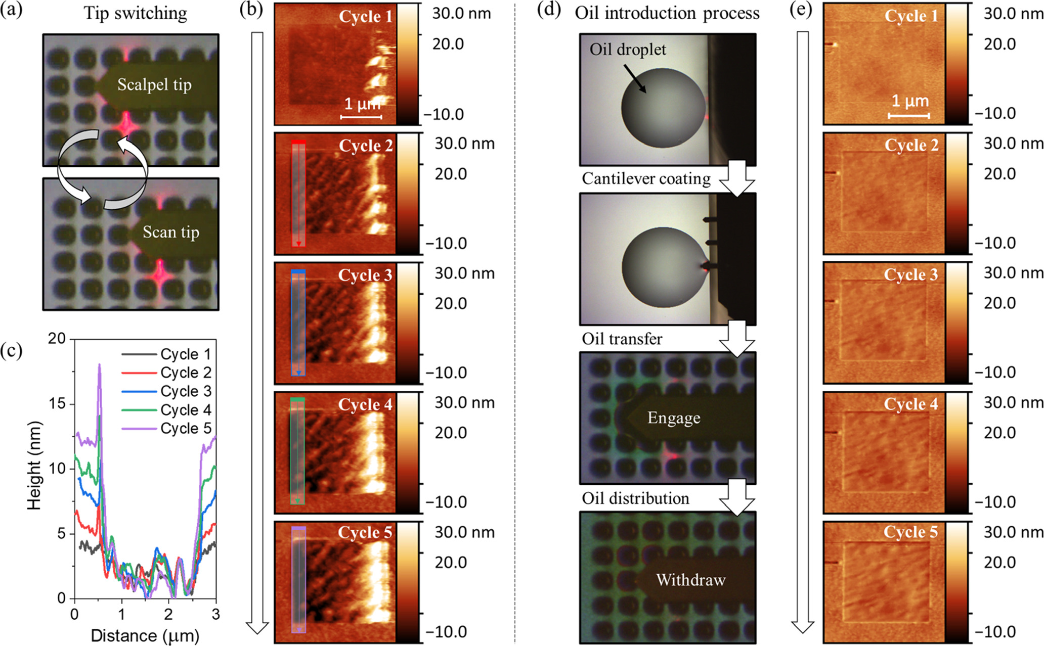 Probe chip nanofabrication enabled reverse tip sample scanning probe ...